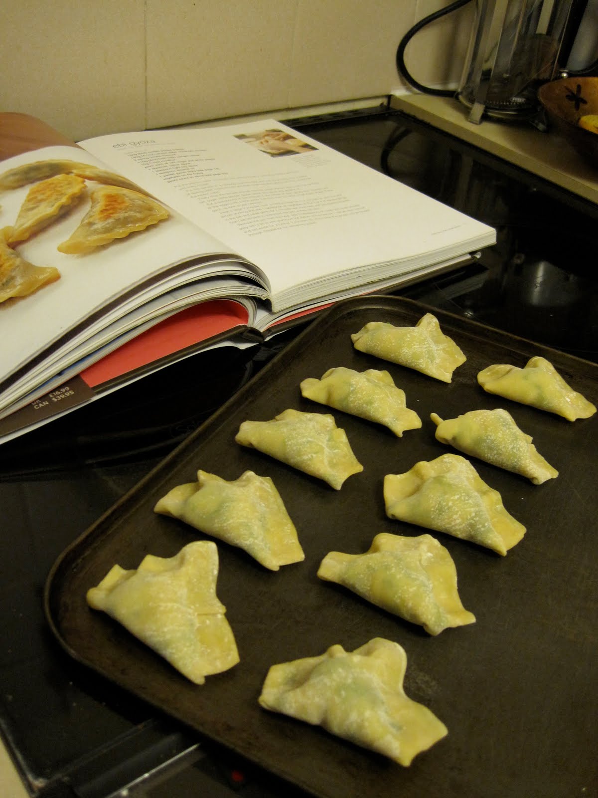 Scarlet Pyjamas: Gyoza!