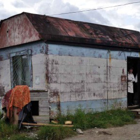 the dacha project: who is a dachnik?
