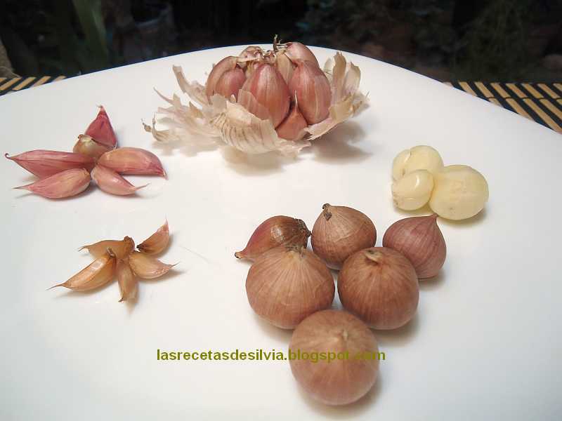Las recetas de Silvia: ¿Que es el AJO MACHO?