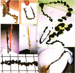 Kesehatan Organic: Apa Itu Detoks Ala Melilea