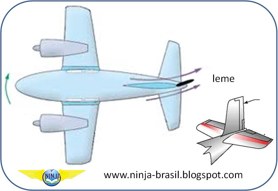 NINJA: Conhecimentos Técnicos