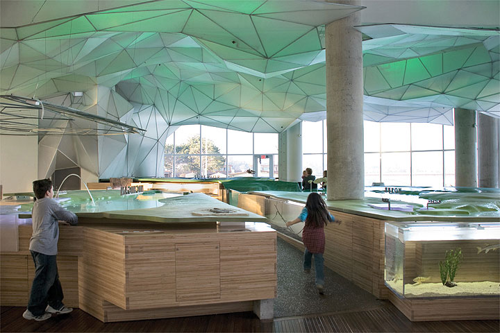 Imagine These: Museum Interior Design | Science Museum, Discovery World ...
