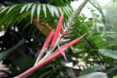 Style Key West: Color Stories: Local Color Inspiration