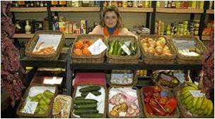 proceso administrativo: Empresas de tipo comercial.