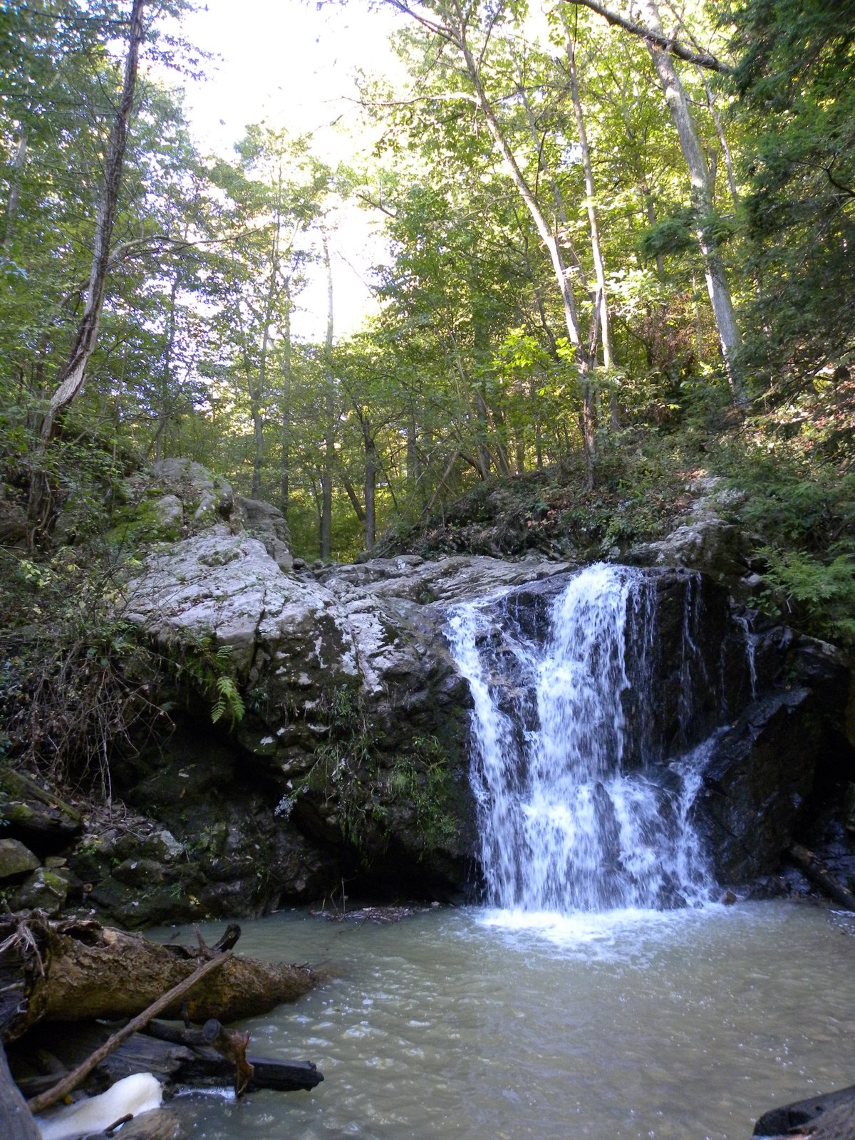 Kathy's Travels: Cascade Falls Trail at Patapsco State Park