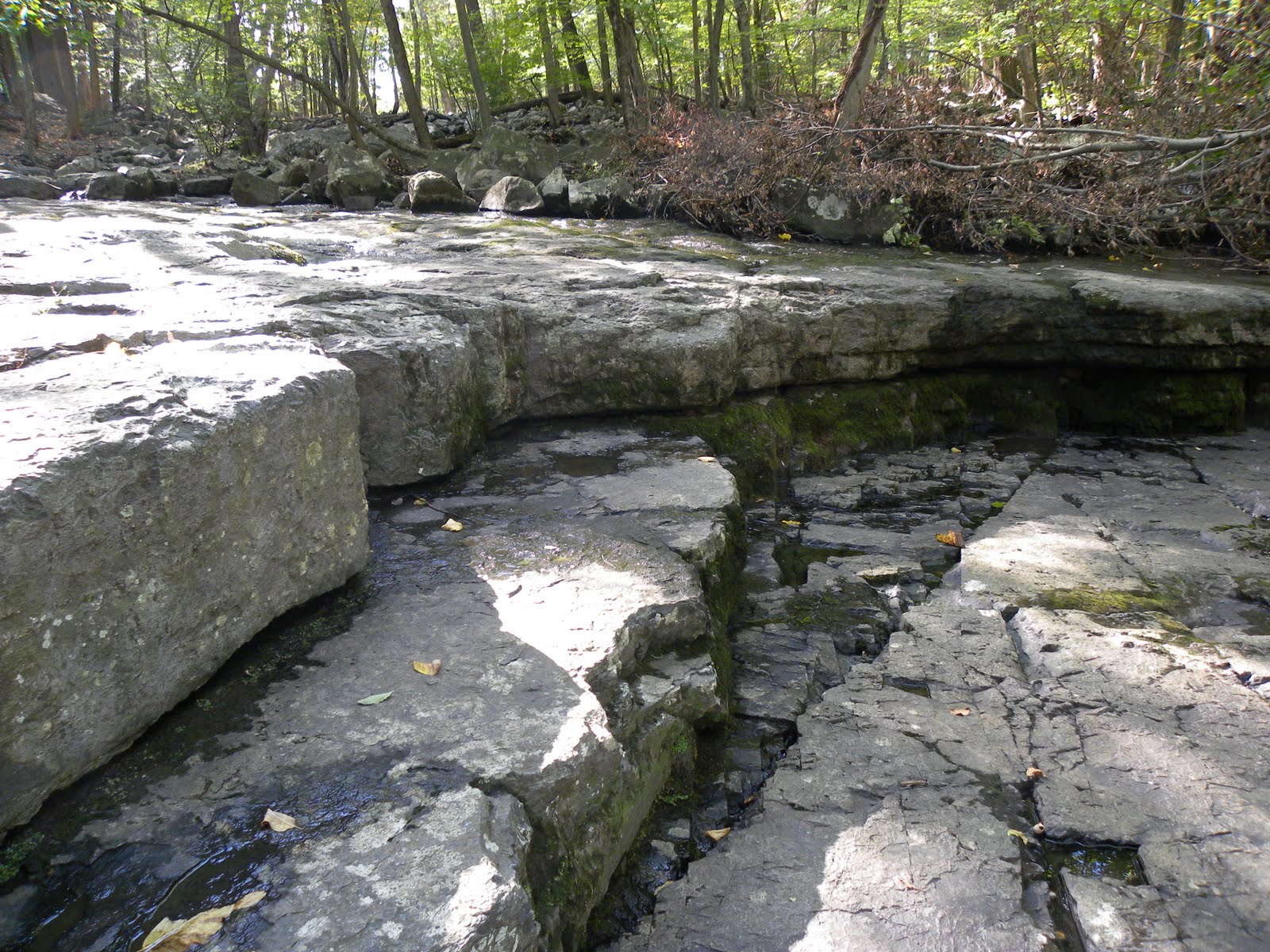 Kathy's Travels: Ringing Rocks Park, Bucks County PA