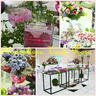 Floricultura Verde Rosa