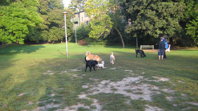 Ramsden Park Dog Owners
