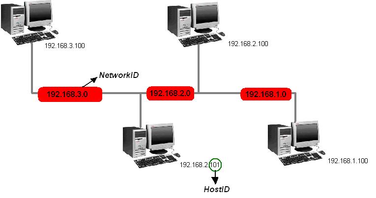 Você Sabia: Endereço IP