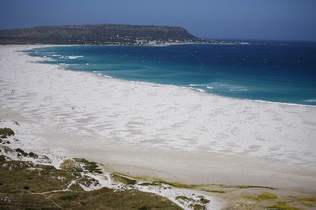 Cape Point Route: Monkeying it Up at Monkey Valley