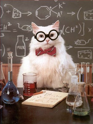 Guys With Glasses: Professor Cat