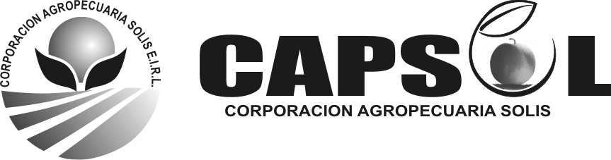 CAPSOL PERU: NUESTROS PRODUCTOS