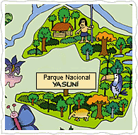 DESARROLLO SUSTENTABLE: Conociendo el PARQUE NACIONAL YASUNI