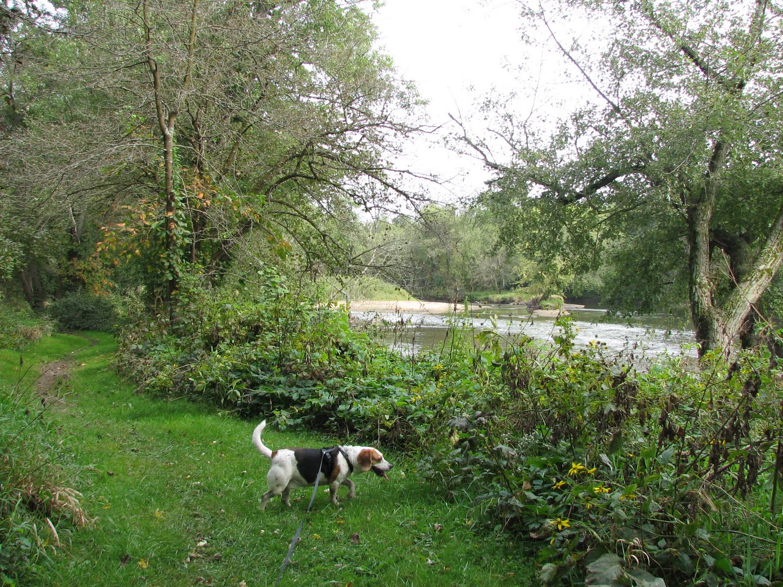 Musings from Illinois: Blackhawk Springs Forest Preserve Hike With the ...