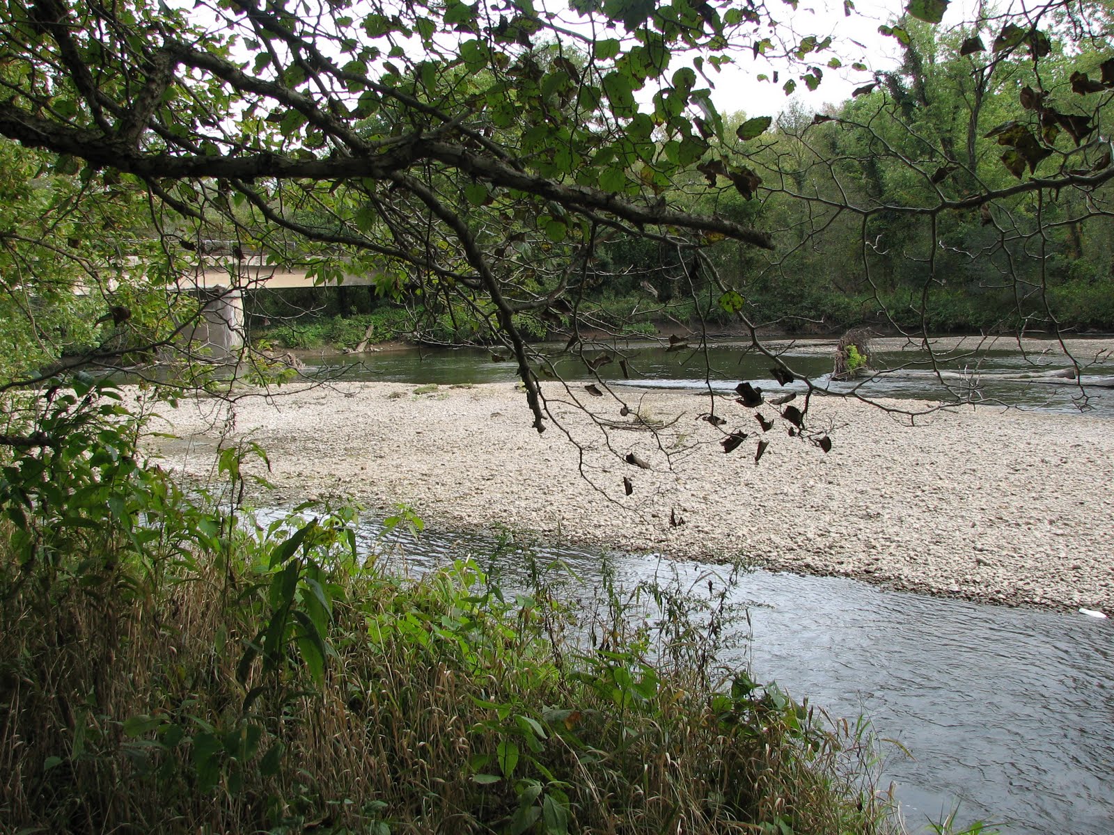Musings from Illinois: Blackhawk Springs Forest Preserve Hike With the ...