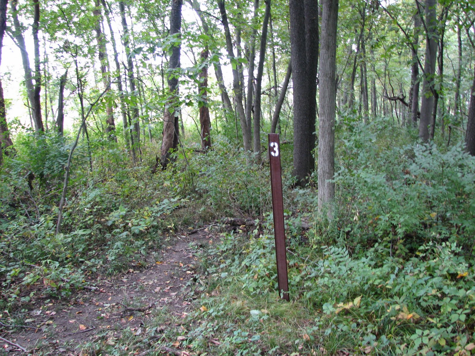 Musings from Illinois: Blackhawk Springs Forest Preserve Hike With the ...