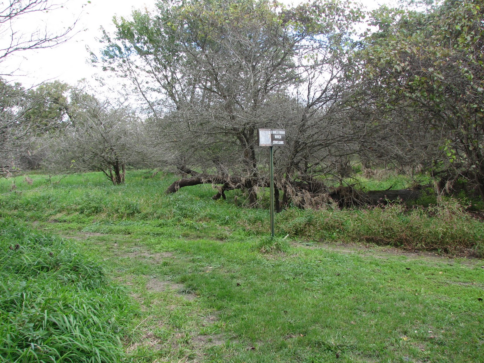 Musings from Illinois: Oak Ridge Forest Preserve 10-3-10