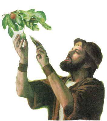 CAMINO CISTERCIENSE: Vocación profética de Amós