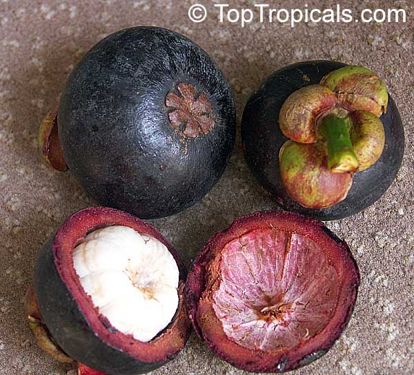 Aakhol Ghor, the Assamese Cuisines and Foods from Assam: Maas aaru ...