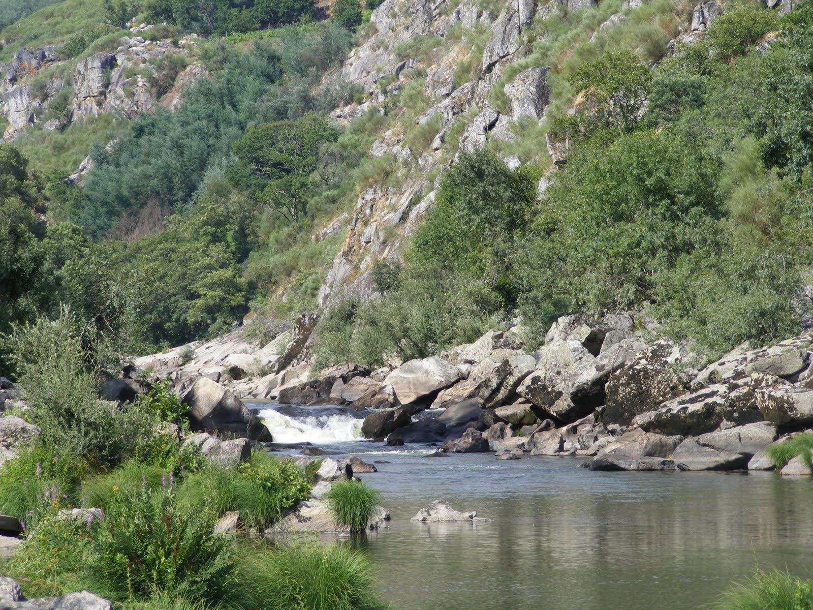 HELDER BARROS: Rio Tâmega - Celorico de Basto, Vau, mais uma maravilha ...