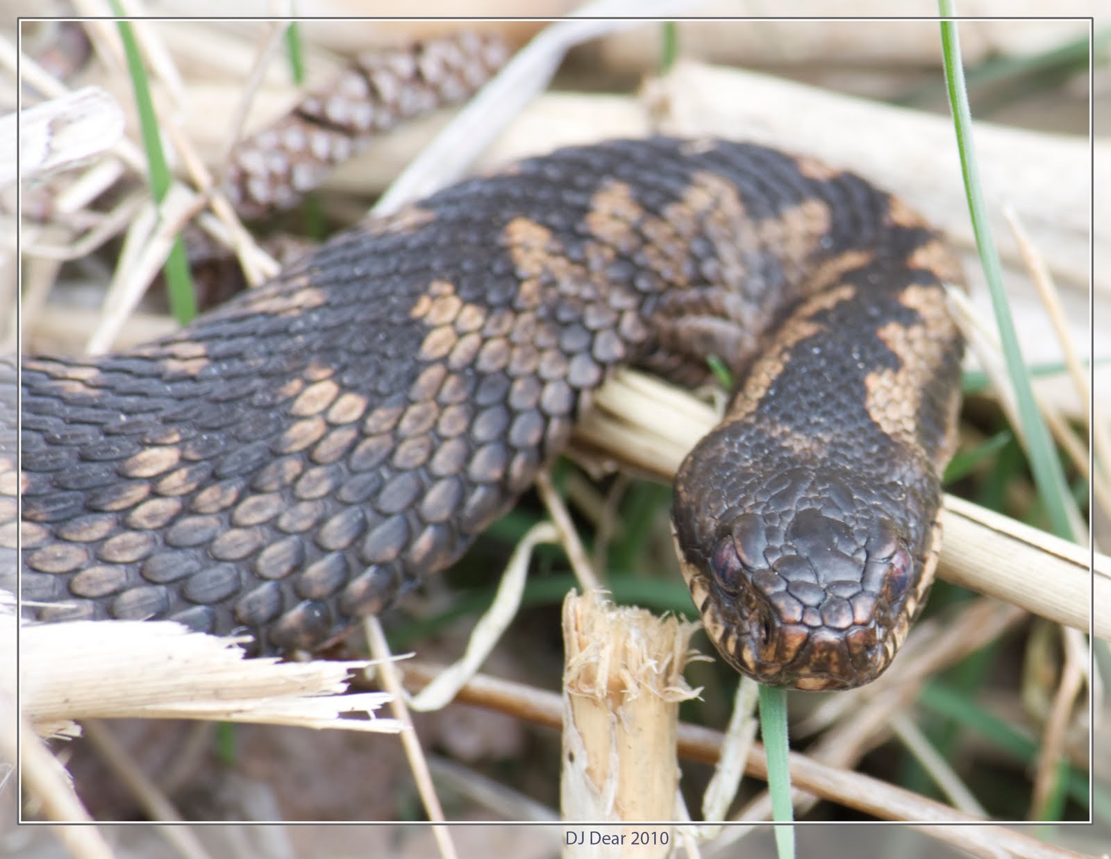 Photography: April 2010