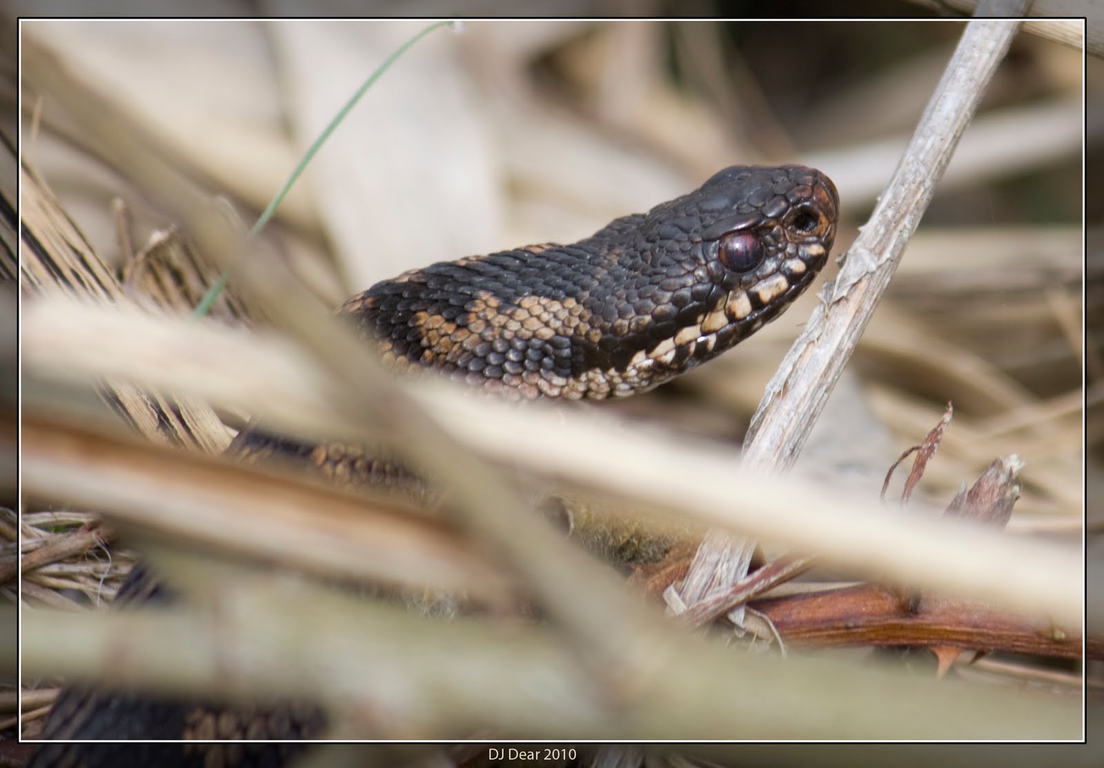 Photography: April 2010