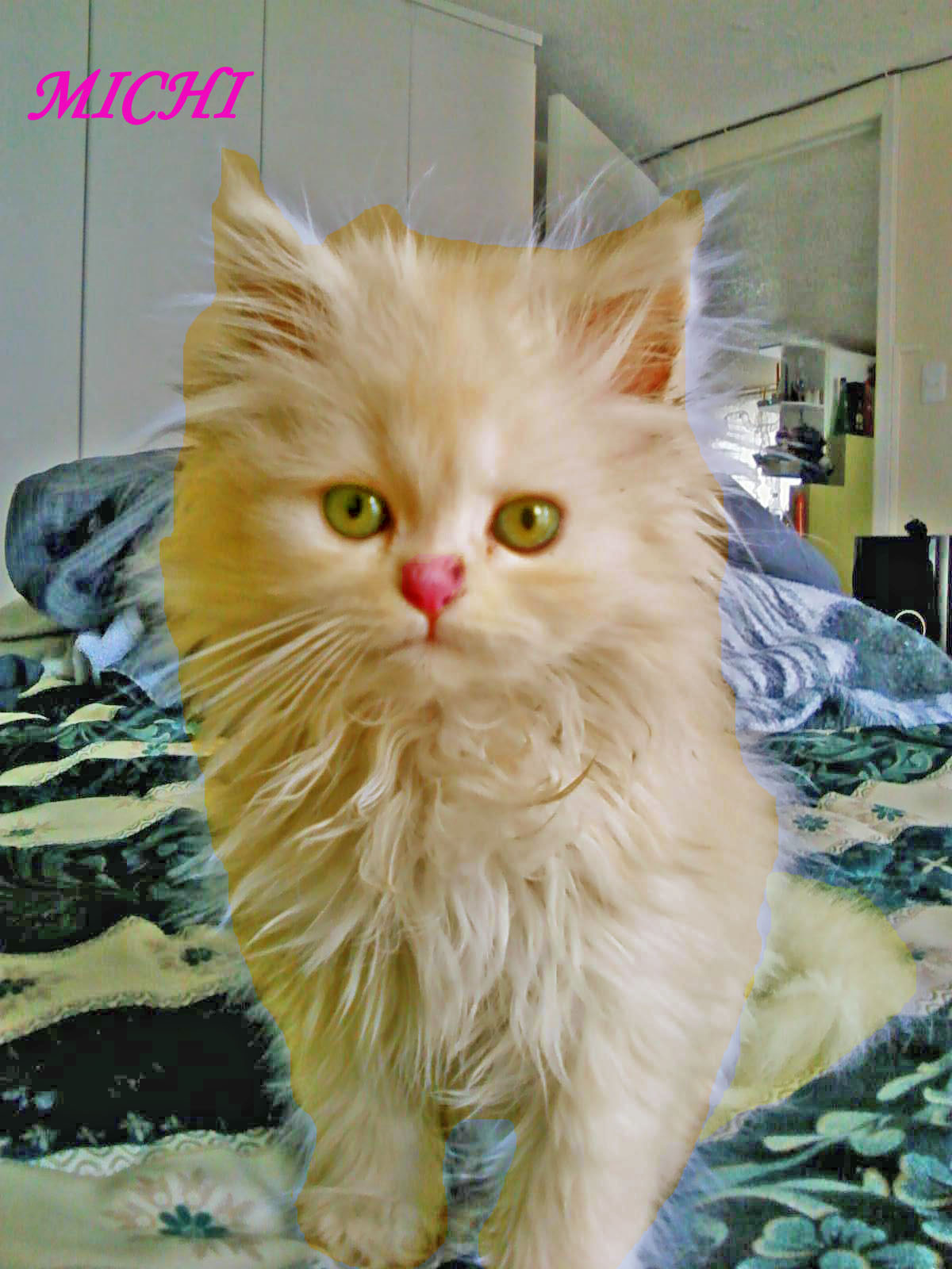 ILUSTRACIÓN GRÁFICA: MICHI