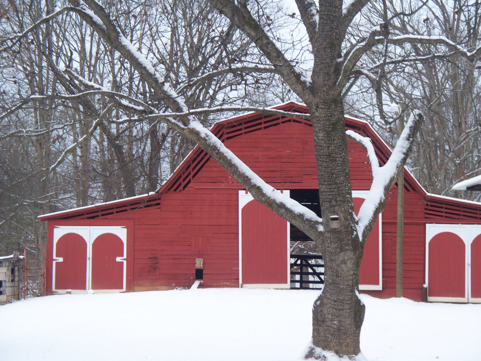 Adventures On Beck's Bounty