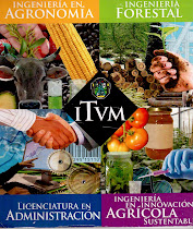 INSTITUTO TECNOLÓGICO DEL VALLE DE MORELIA