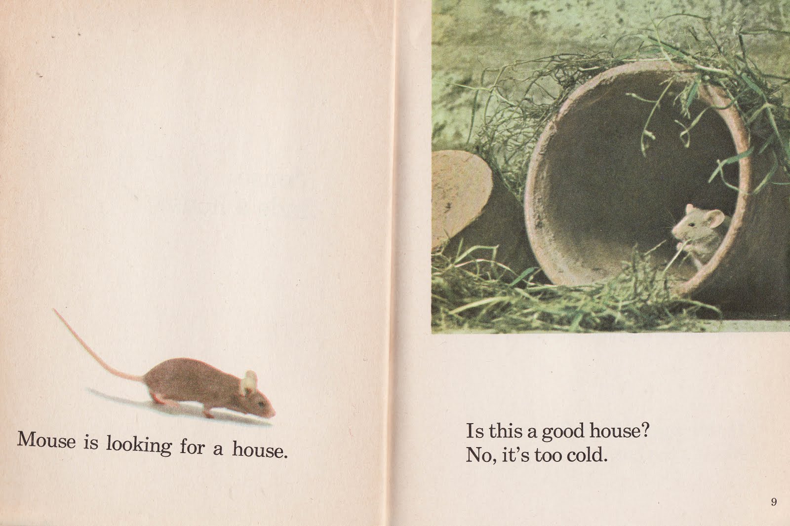 the marlowe bookshelf: The Mouse Book