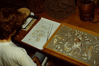 WPatrickEdwards: Sand Shading