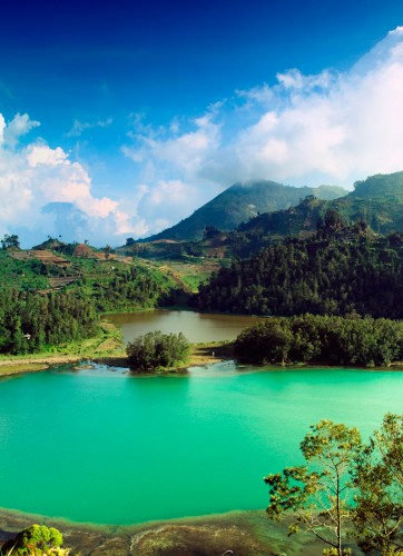 Sinergi Positif Dengan Alam Semesta Untuk Semakin Berkelimpahan