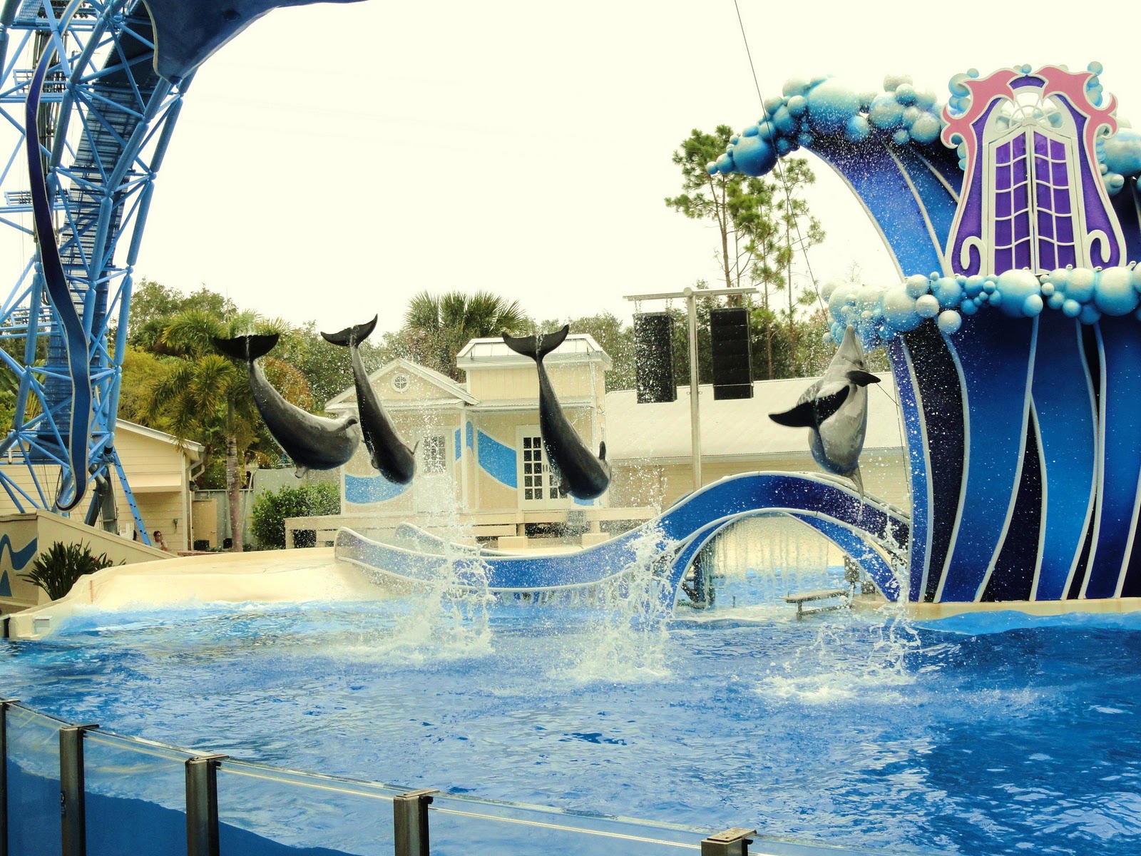 The Story of Us: Walt Disney World 2011