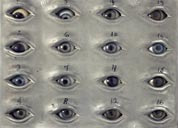 The Holocaust: Website # 2- The U.S. Holocaust Memorial Museum: A ...