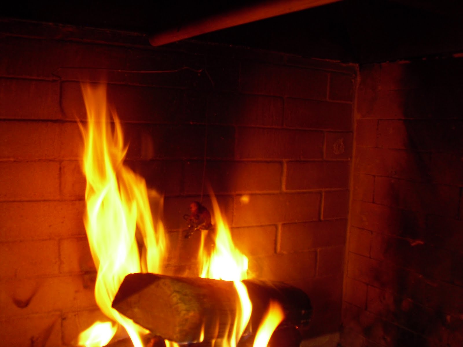 Fur Trail: Cooking Rabbit