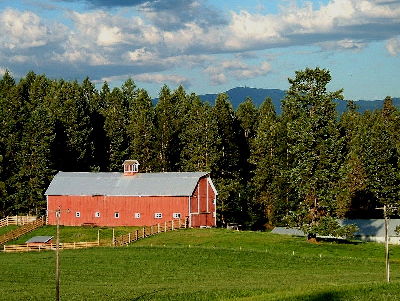 Animals in Charge: The Farm and Windmill