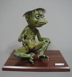 O kappa - Otaku Life