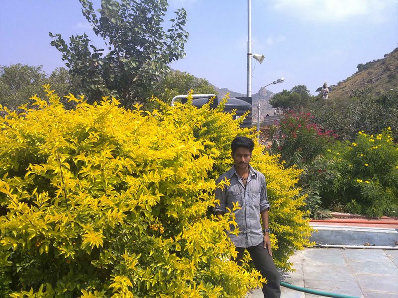 Ammigoz........: Thuraiyur Temple