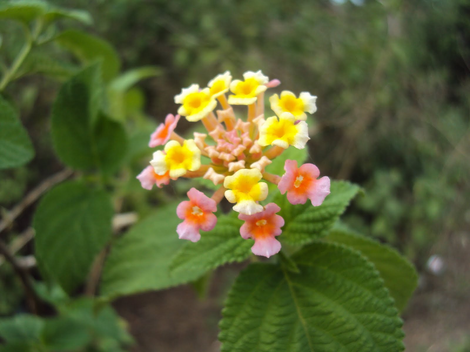 Shot Like A Pro: My shots at Marinduque