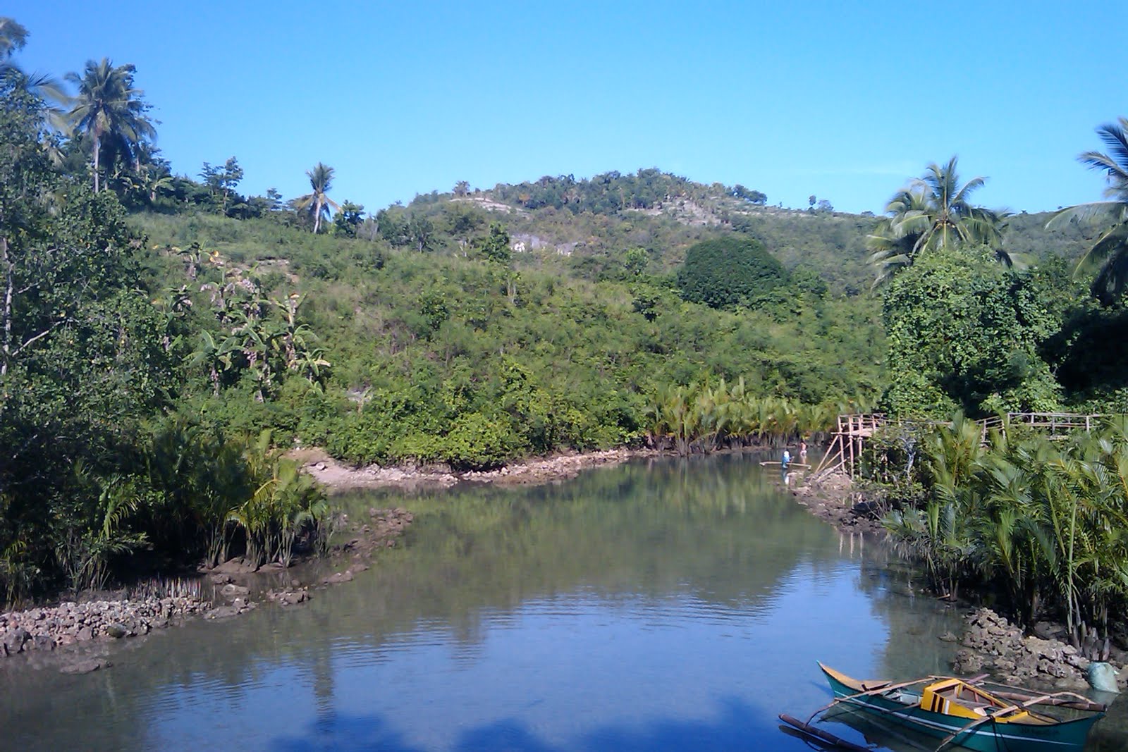 The Gentle Giant: Boho River Adventure