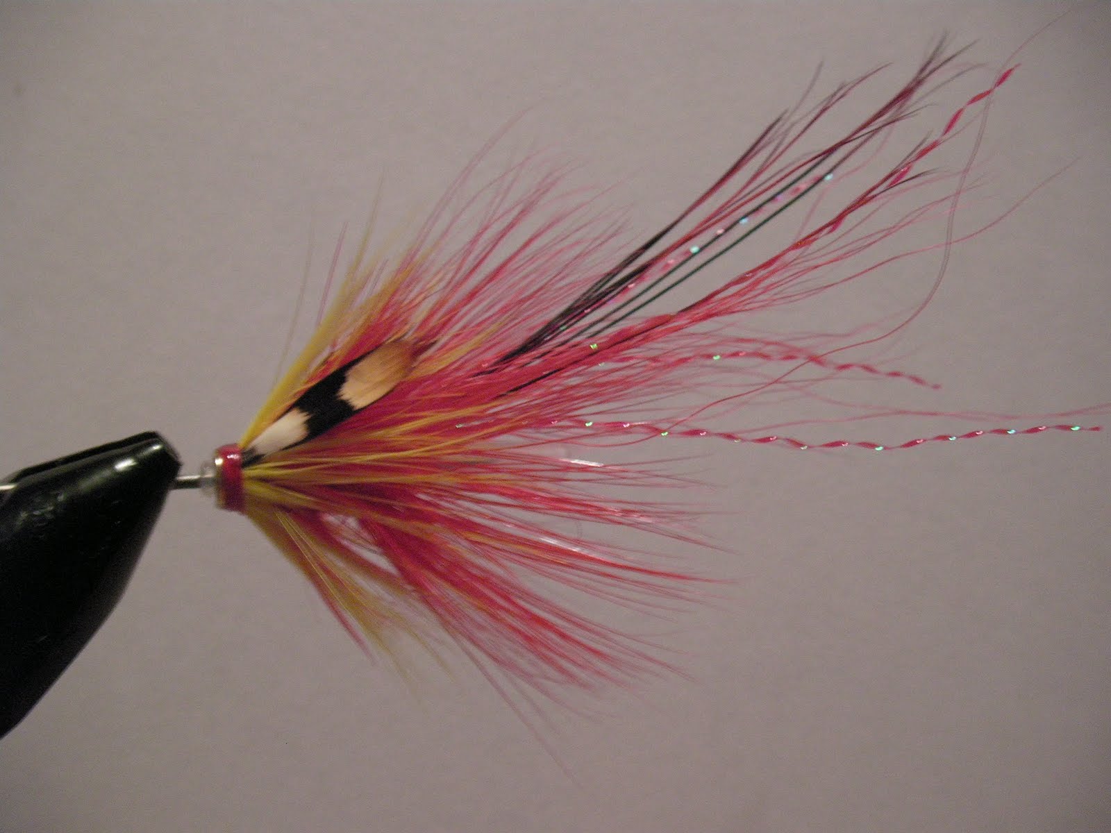 Salmon Fly: Pot bellied pig Salmon fly