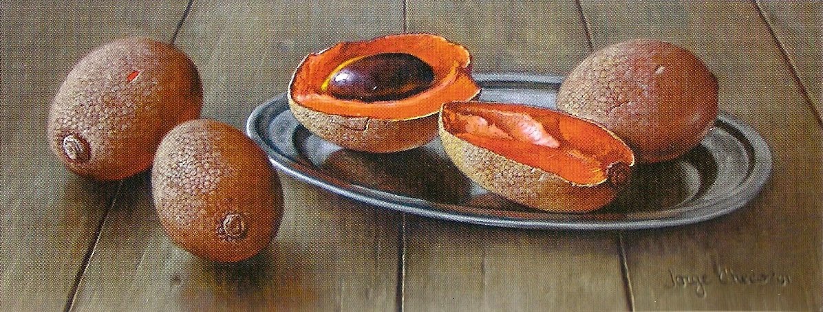 jorge checo: Jorge Checo y el Arte del Bodegon