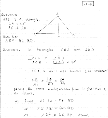 The CBSE Problem Solver: Similar Triangles - Basic Concepts