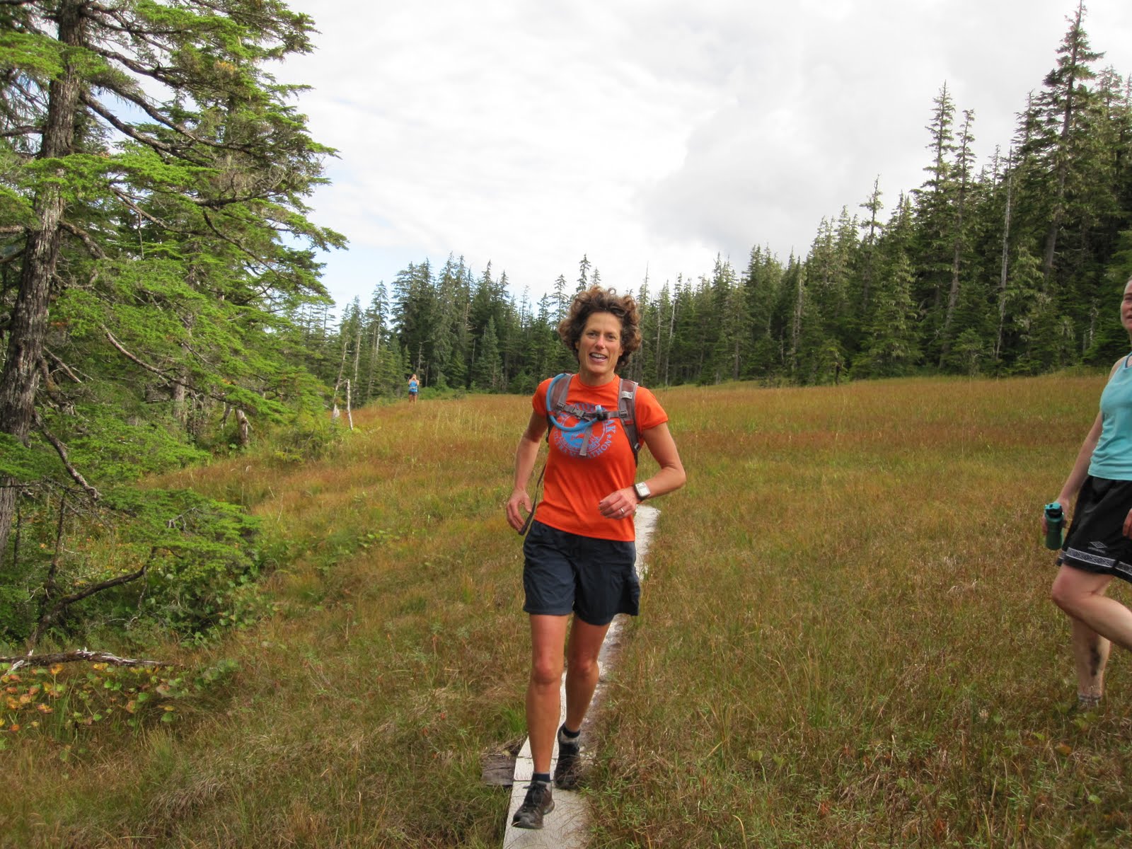 Running with Bears: Windfall to Montana Creek: Brown Bear Country