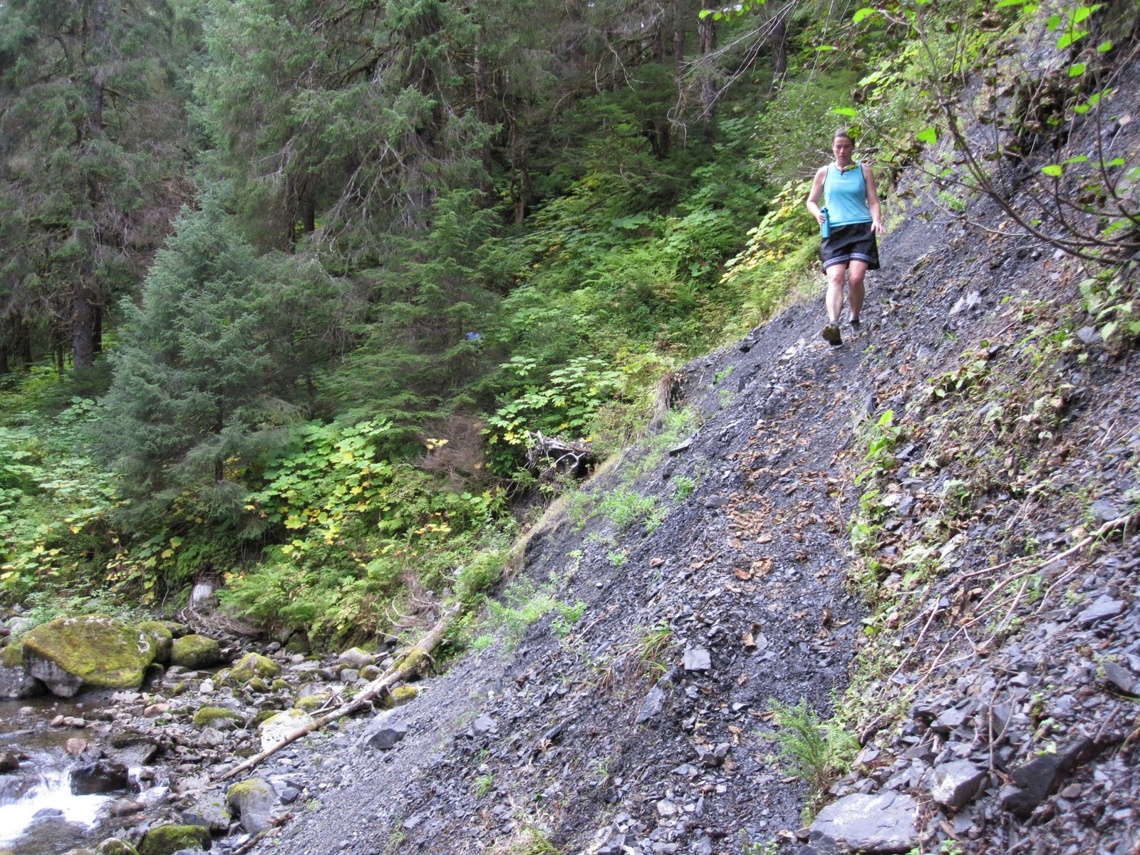Running with Bears: Windfall to Montana Creek: Brown Bear Country