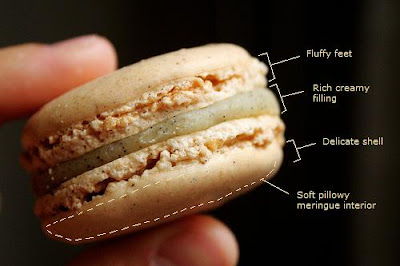 Macaronage – Edible Hypotheses