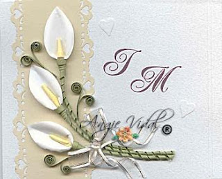 01/07/08 ~ cositasconmesh