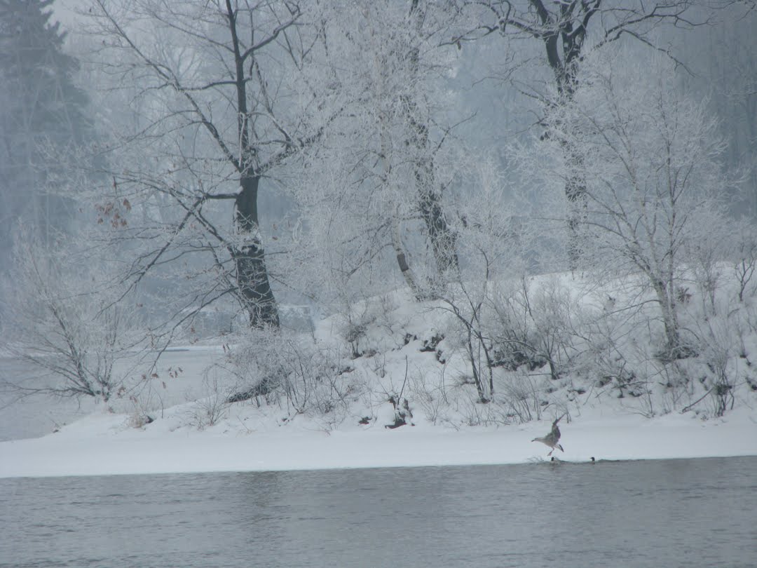 Valley Weather: Freezing fog