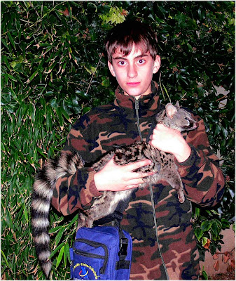 FOTO NATURA HUESCA 2: Genetta gineta jineta geneta c'hazh-banal boutin ...