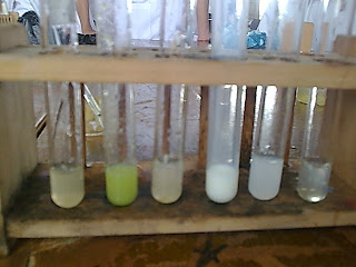 My Little Notes.........: Uji Protein
